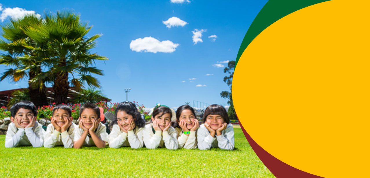 CUBICOL - DAVY ONLINE