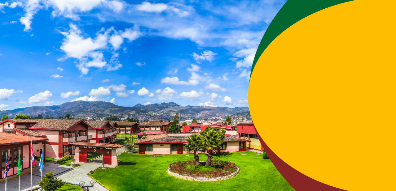 CUBICOL - DAVY ONLINE