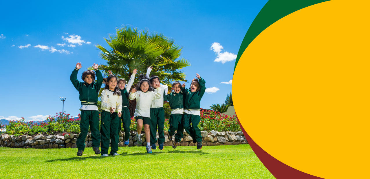 CUBICOL - DAVY ONLINE